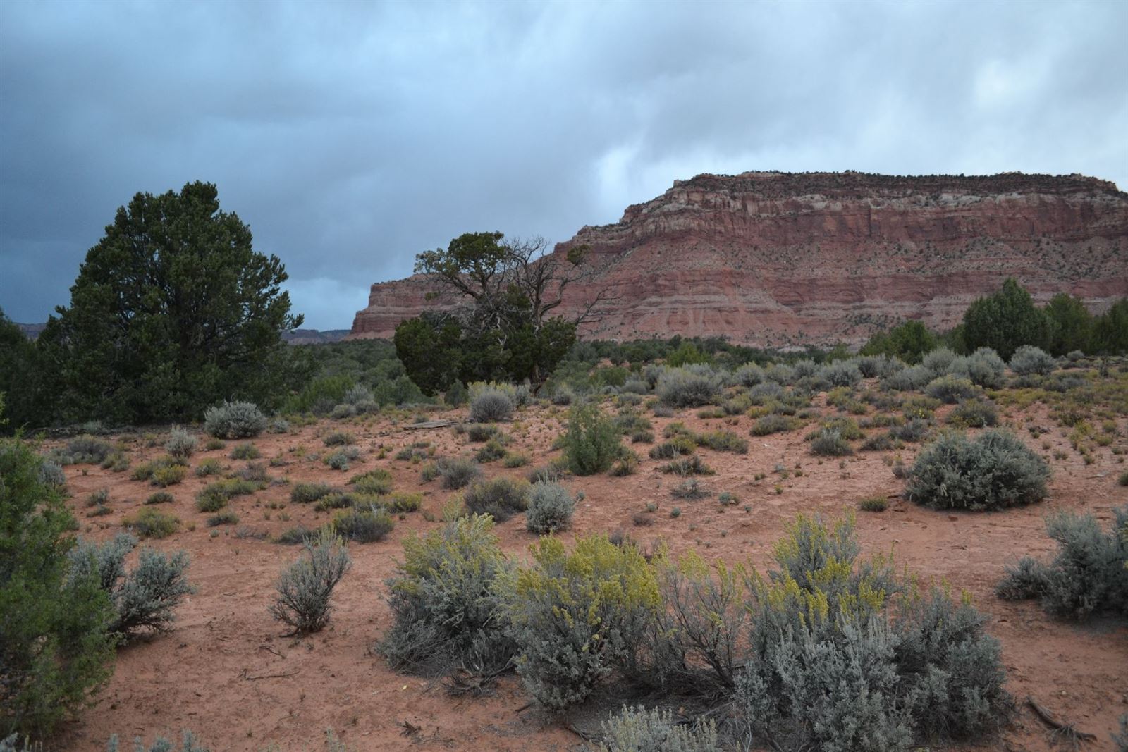 Locations Hub - Movie Fort Set