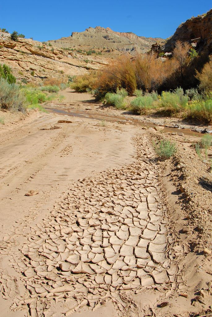 Locations Hub - Floy Wash Trail
