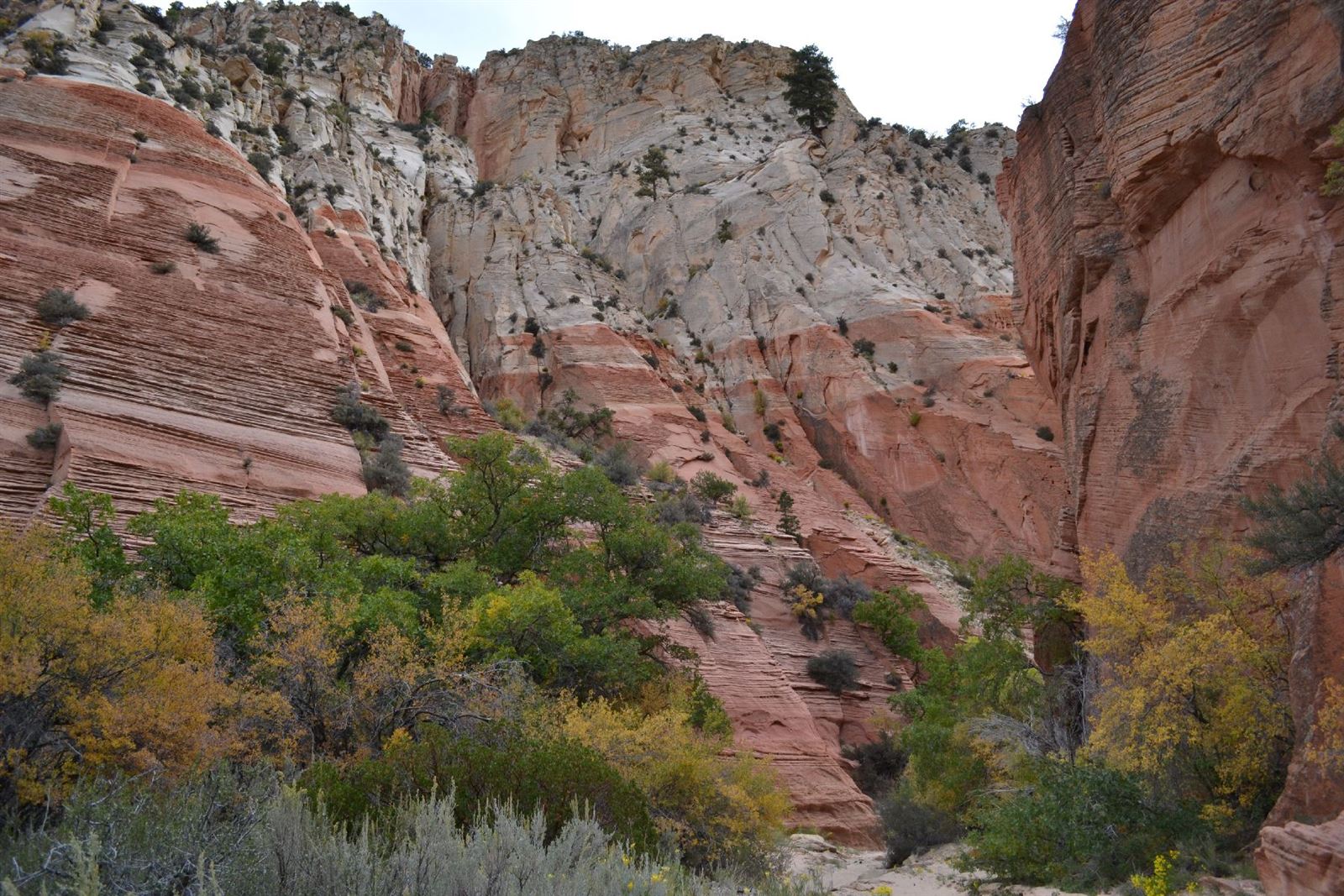 Locations Hub - Orderville Slot Canyon