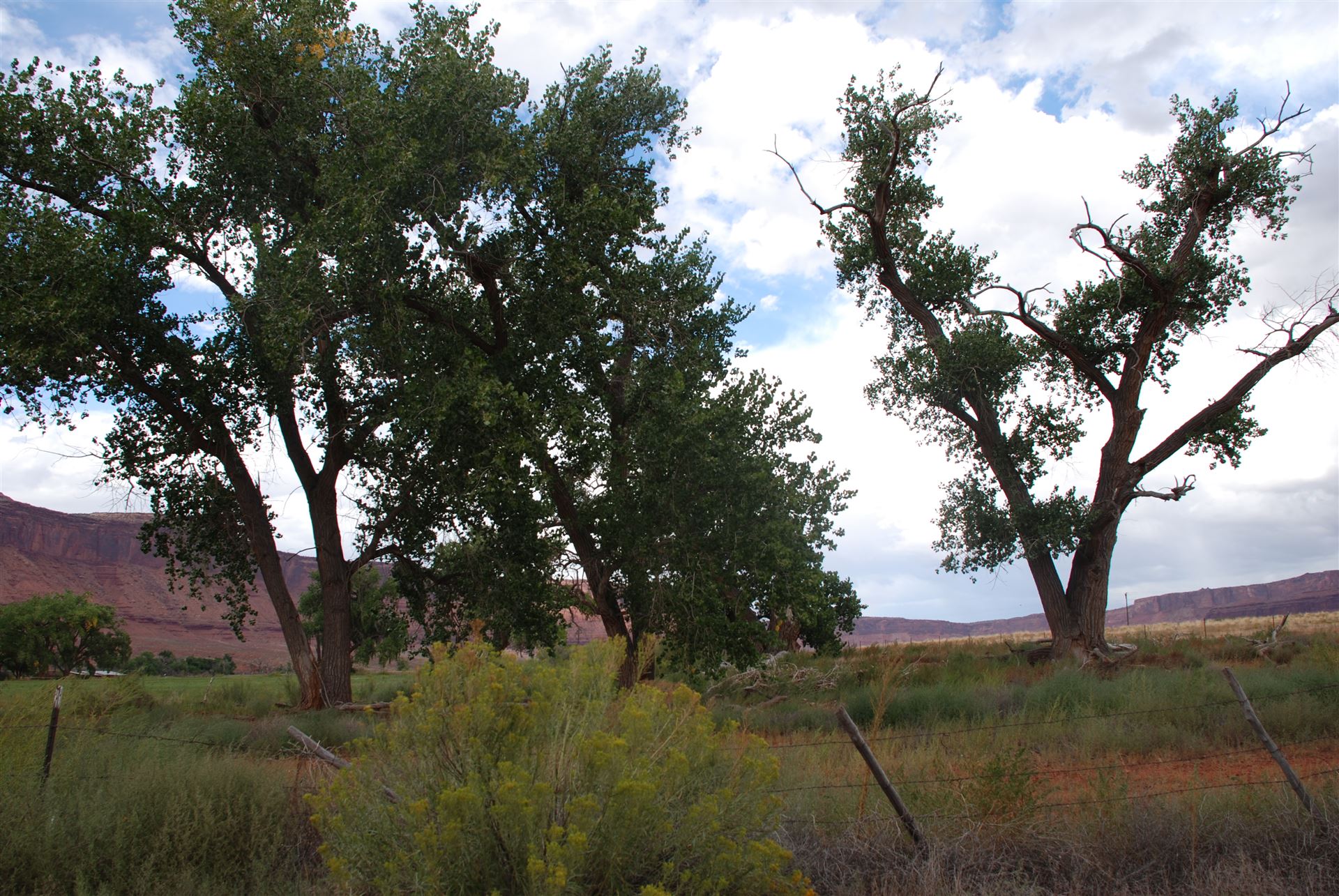 Locations Hub - Harley Bates Ranch