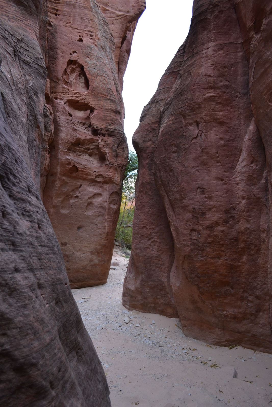 Locations Hub - Orderville Slot Canyon