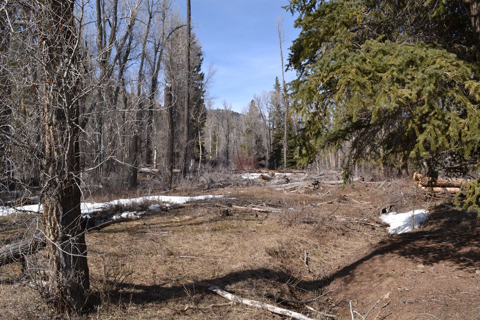 Locations Hub - Diamond Bar X Ranch