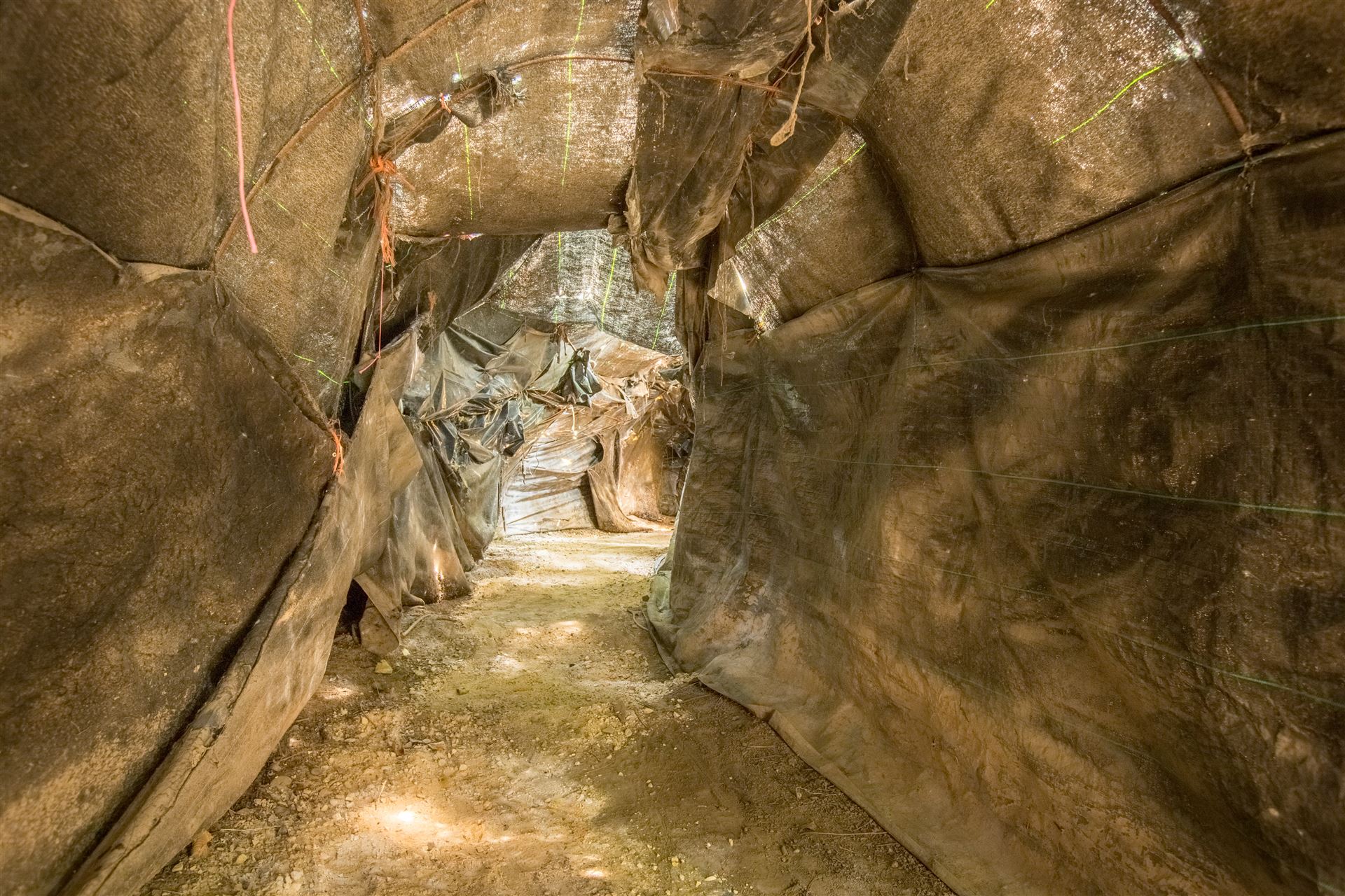 Locations Hub - Haunted Hollow