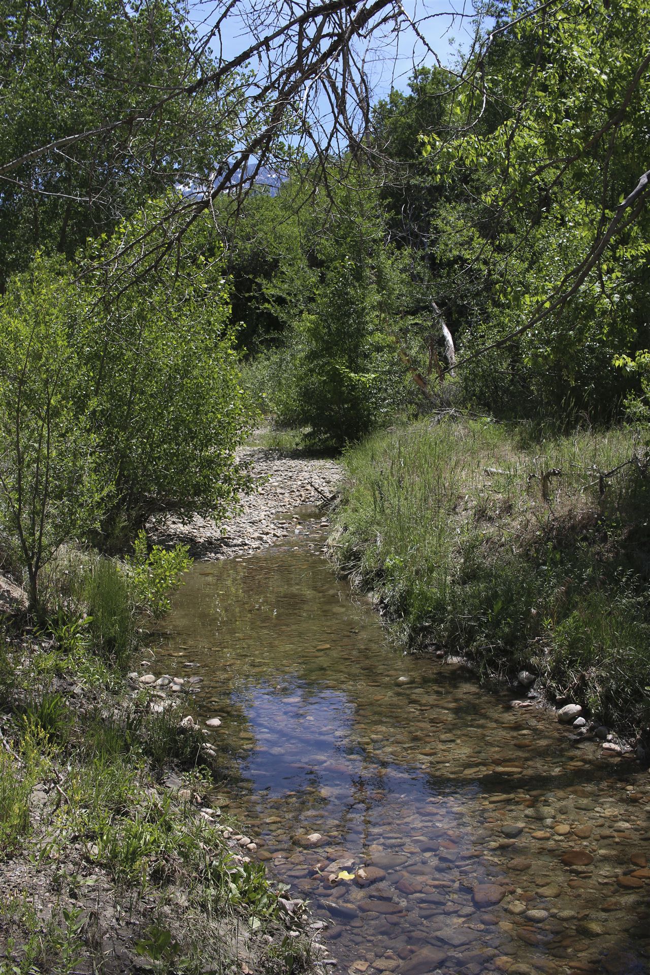 Locations Hub - Dimple Dell Regional Park