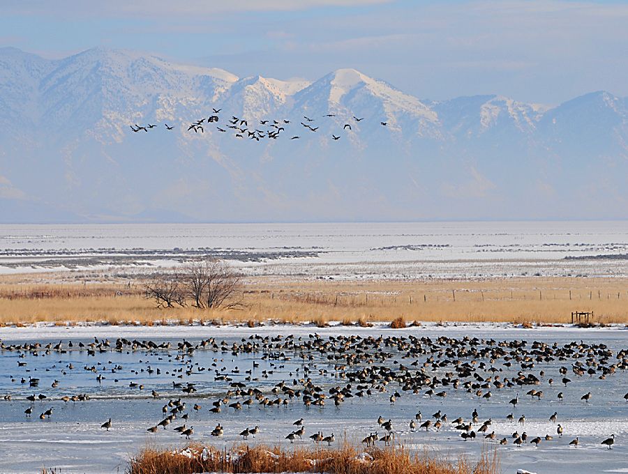 Locations Hub - Promontory Point- Winter