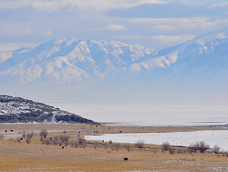 Locations Hub - Promontory Point- Winter