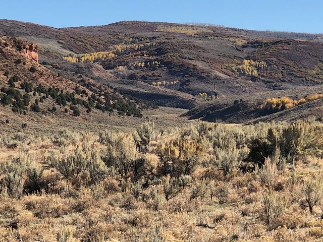 Locations Hub - Aspen Meadow Ranch