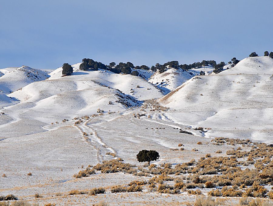 Locations Hub - Promontory Point- Winter