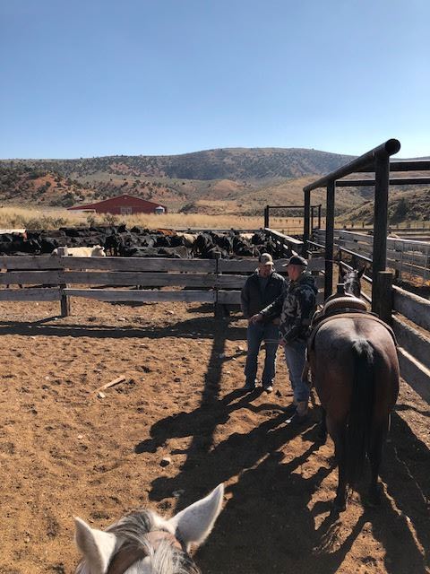 Locations Hub - Aspen Meadow Ranch